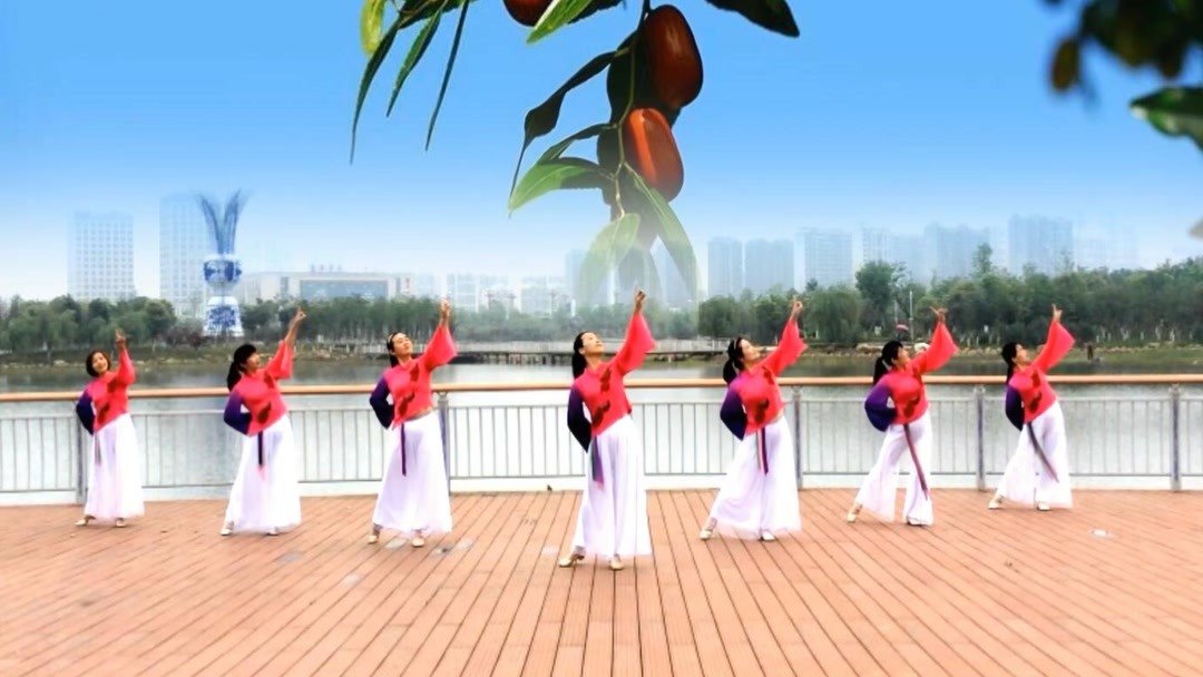 爱吾广场舞《红枣树》背面演示