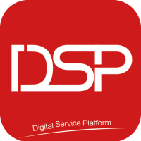 DSP数字化服务 