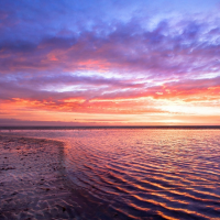 我什么都不缺啊 