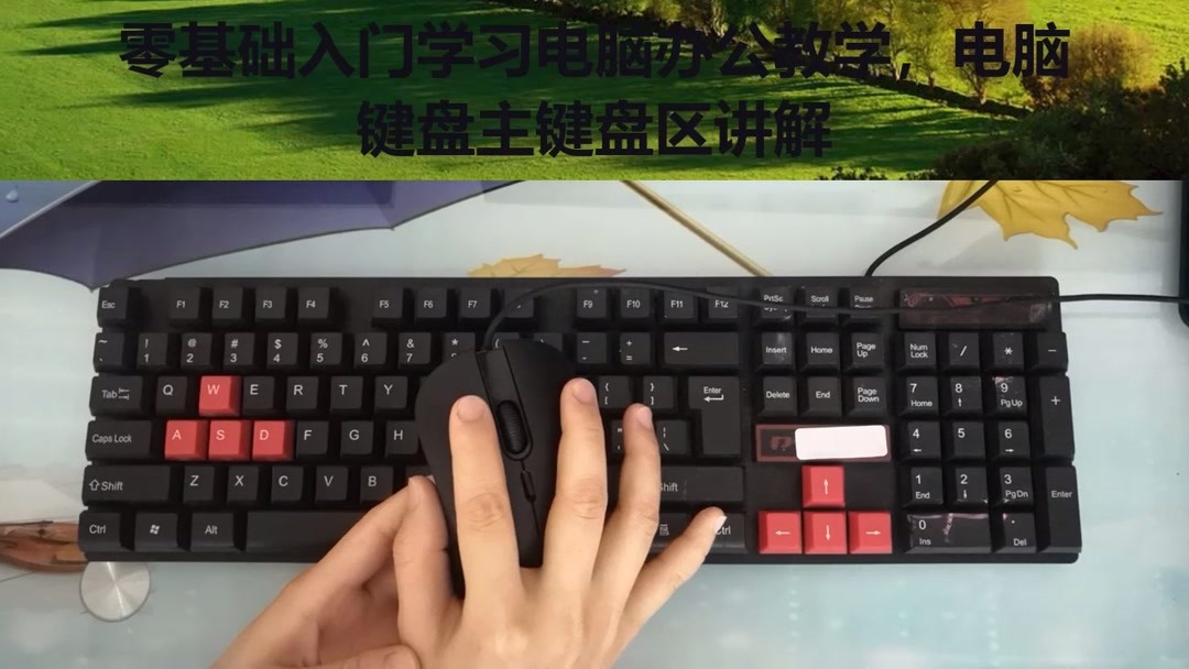 零基础入门学习电脑办公教学,电脑键盘主键盘区讲解