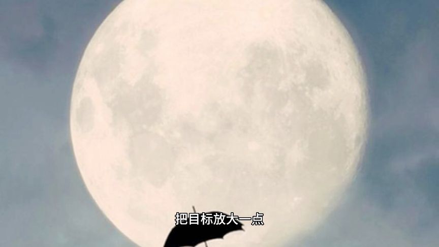 【励志语录】把目标放大一点,放长远点