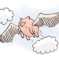 风口上的猪会飞 