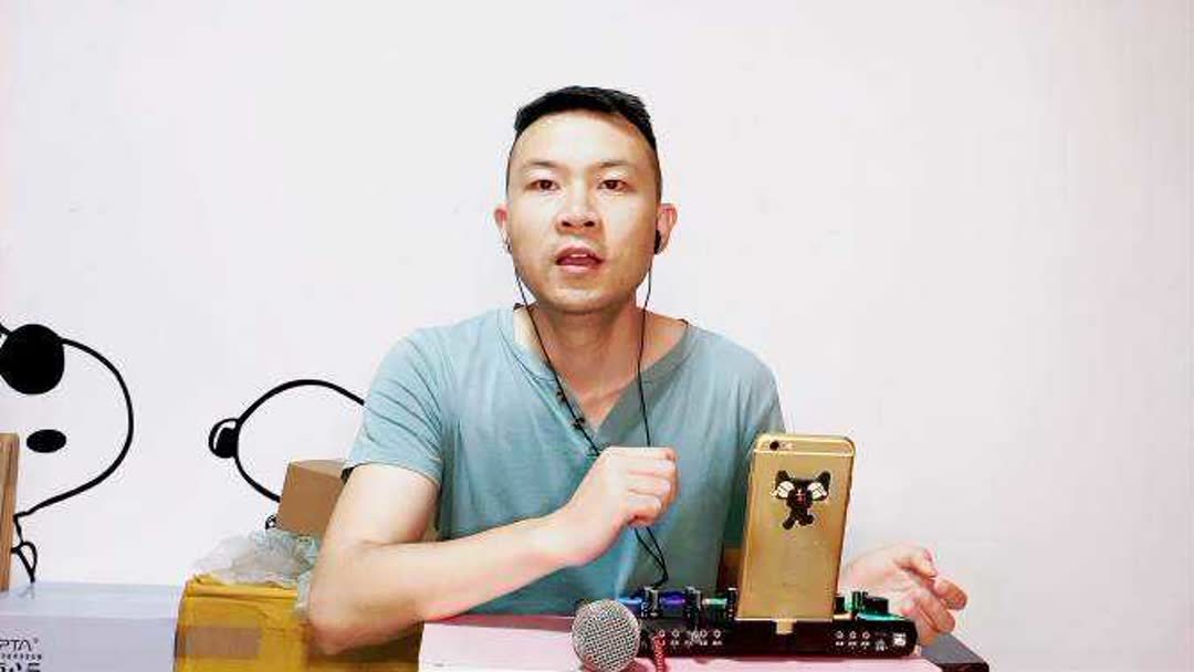 魅鸟智屏音响麦常规版和U段版话筒有什么区别,U段版这个功能要懂