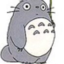 月牙爱猫猫 