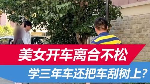 美女开车竟然不松离合器,学车三年还能把车撞树上去