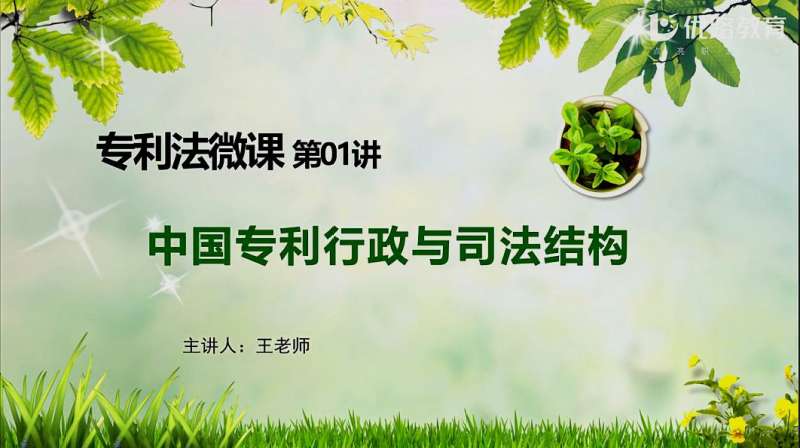 专利法微课——中国专利行政与司法结构