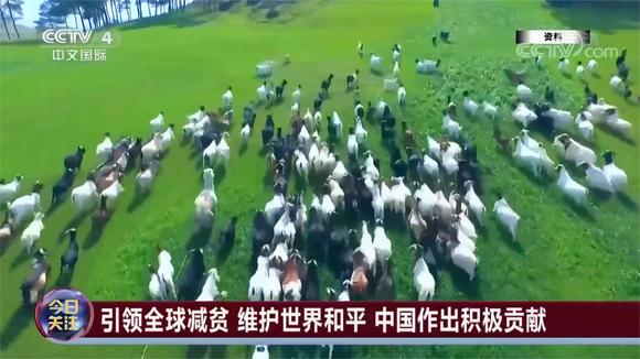引领全球减贫 维护世界和平 中国作出积极贡献
