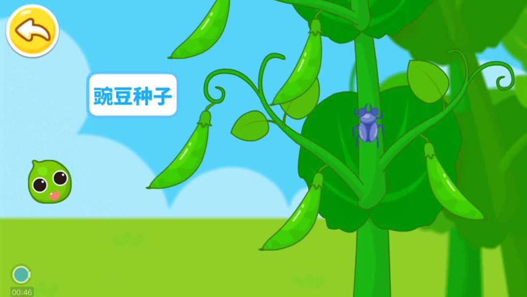 【萌妹子小怪兽】学习种子的传播方式,豌豆种子靠弹力传播游戏