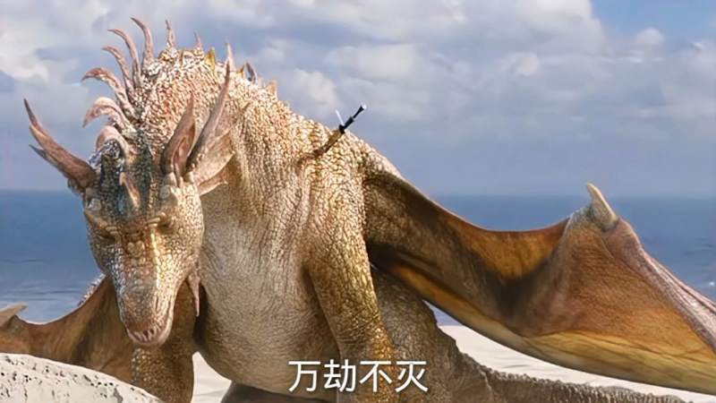 狮王之王 狮子中的荣耀王者 九头狮子