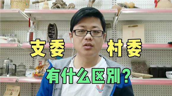 村委会和支委会有什么区别,他们的职能分别是什么?其实不复杂