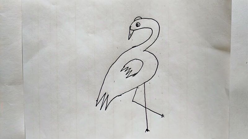 丹顶鹤的简笔画教程,用数字3和4加几笔,一只漂亮的鹤就画出来了