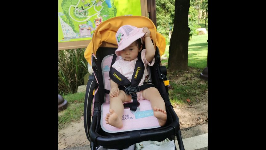 与动物的互动从线上转到线下#宝宝成长记