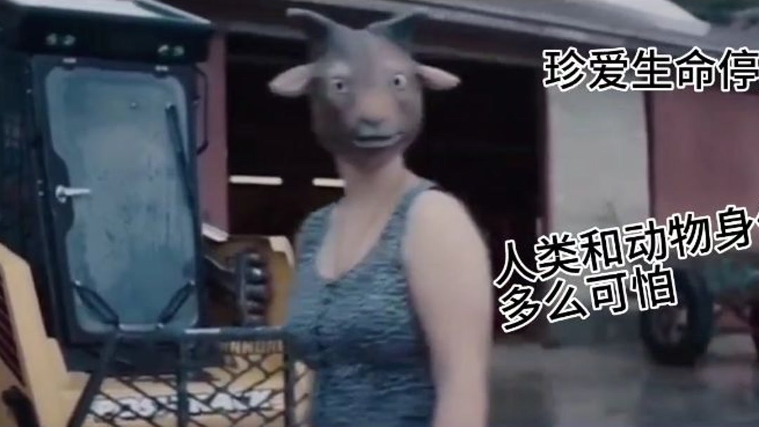 珍爱生命,停止杀戮,爱护小动物,保护环境,人类与动物互换身份多可怕