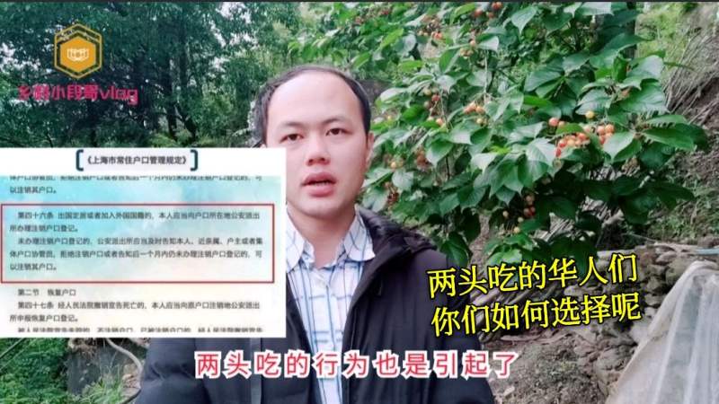 绿卡国籍华人只能二选一,新规之后多少人的美梦将会破碎,来看