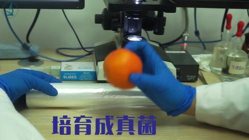硬核检测:抗菌笔真能杀死细菌?显微镜下一探究竟