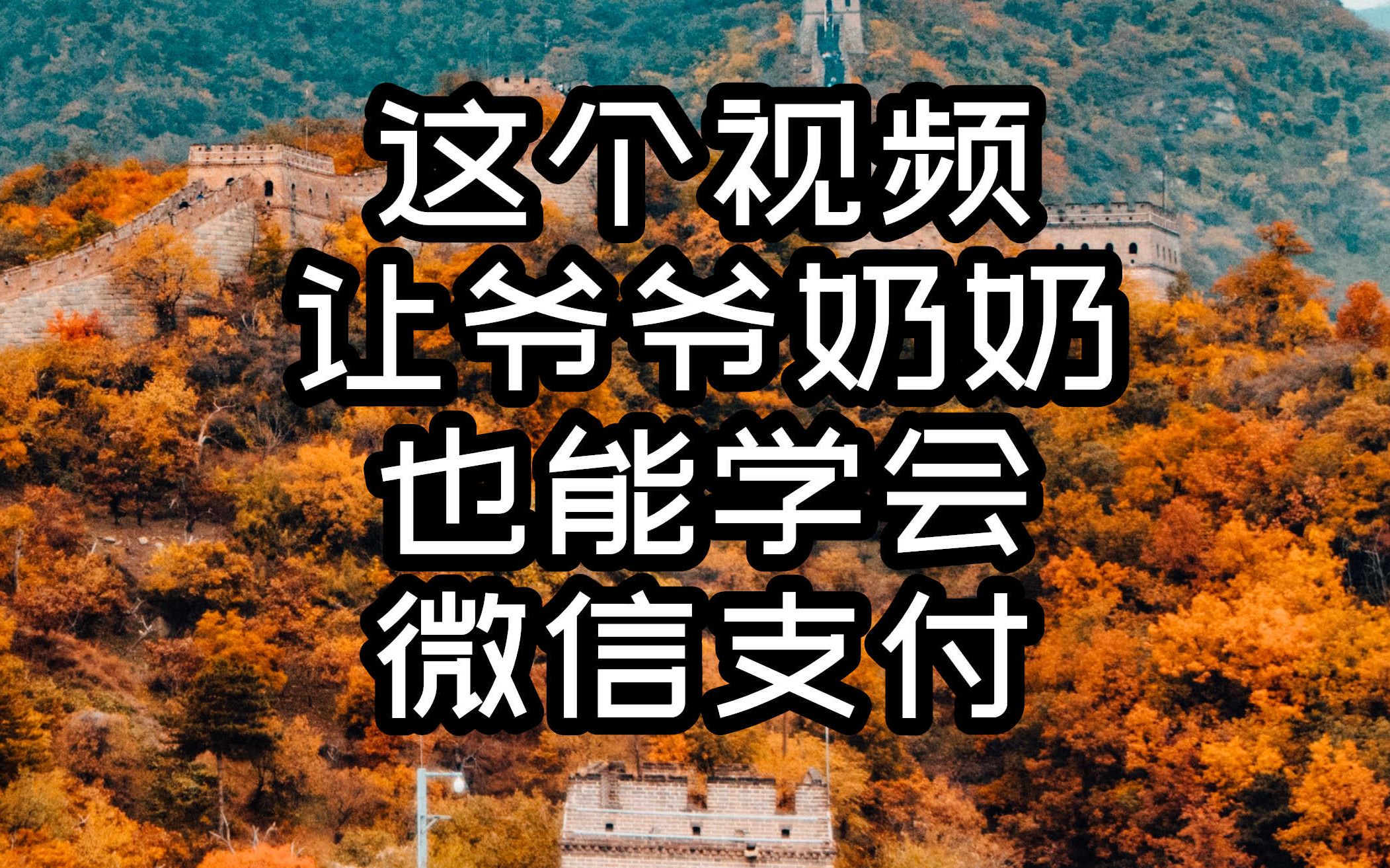 这个视频让爷爷奶奶也能学会微信支付