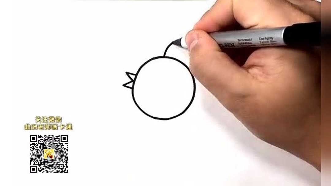 曲洲老师画卡通:幼儿简笔画系列—小鸟