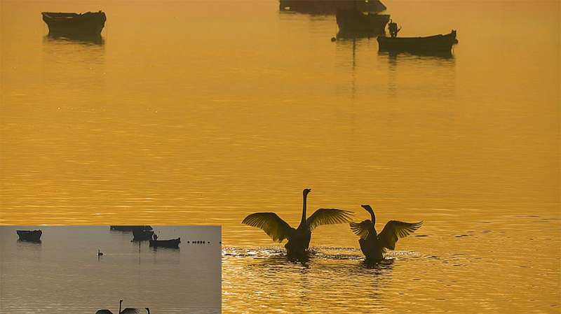 在PS中用蒙版合成后期技术,合成出表现完美决定性瞬间的照片2