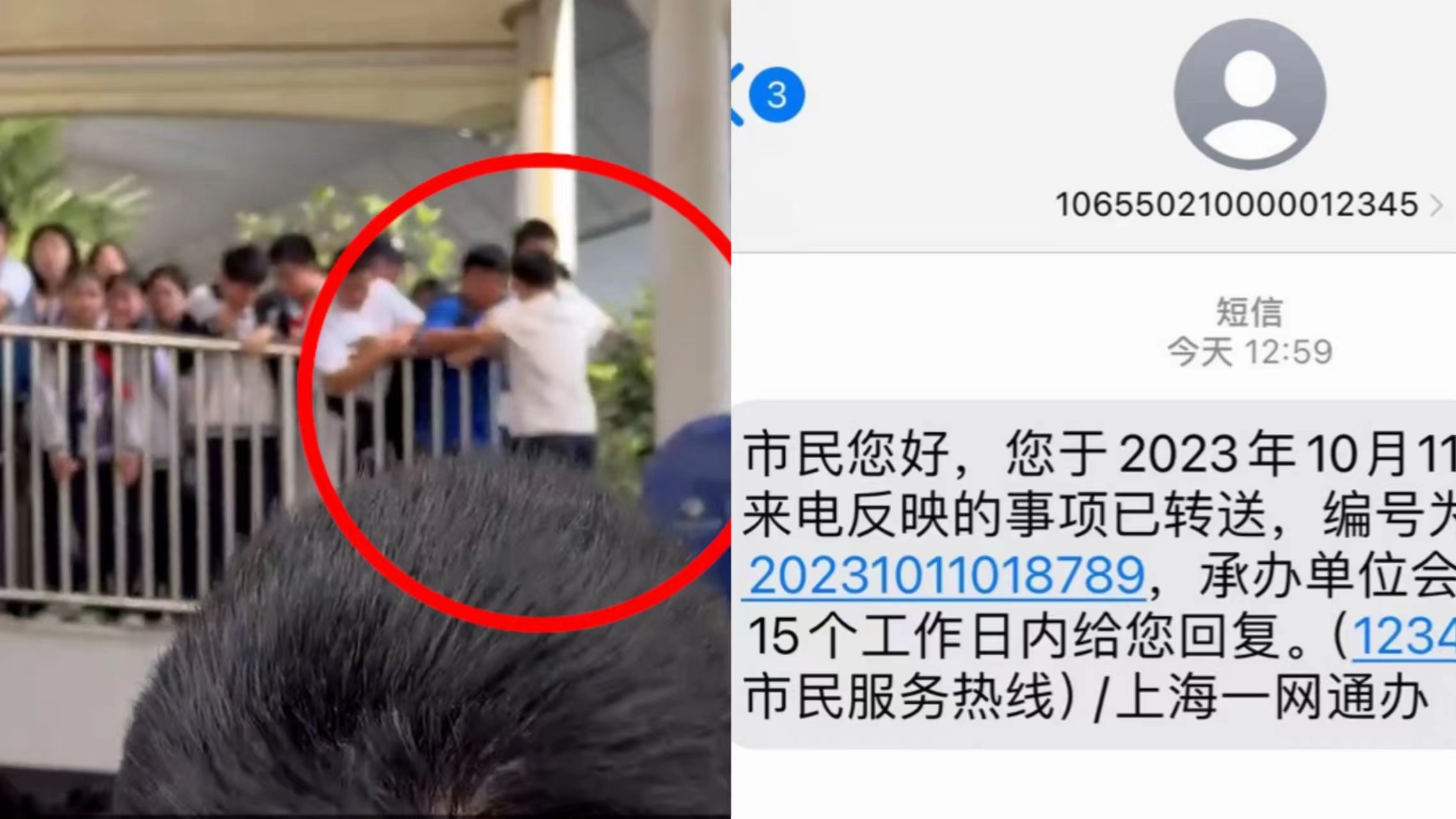 上海一海洋公园4男子爬栏杆插队引众怒,拍摄者:人的素质和秩序管理不...