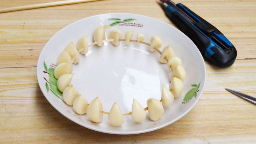 如何种植好水蒜?阳台种植水蒜有技巧,人人都可以操作