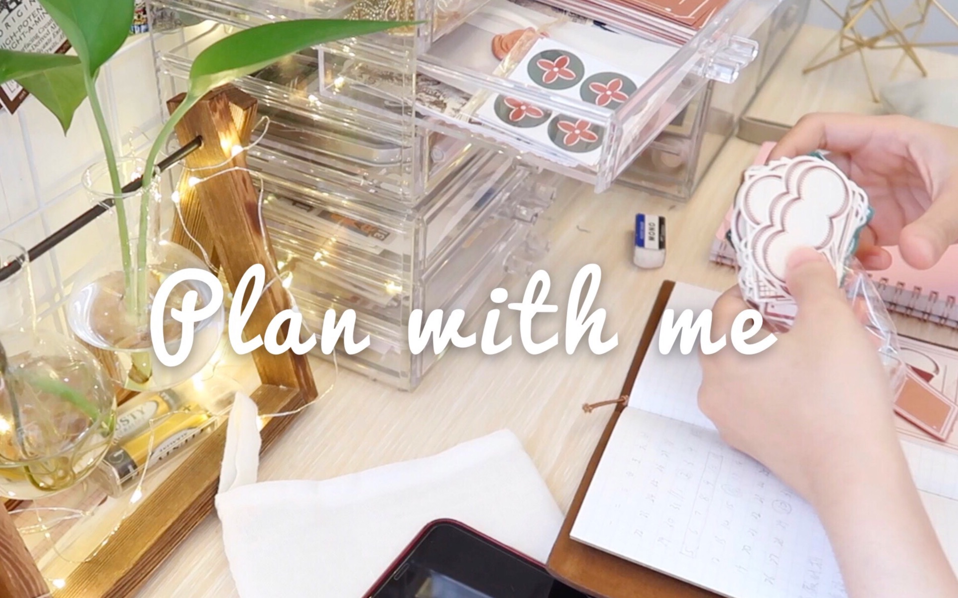 Plan with me |我的暑假计划