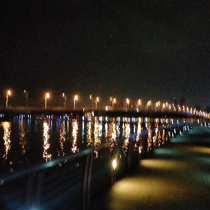 是一只小透明啊 