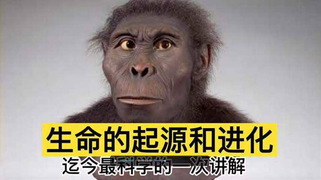 地球上的生命包括人类是如何诞生的?迄今最科学的一次讲解!