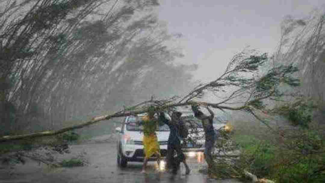 超强台风玛利亚登陆浙闽 不同角度的震撼视频:老鼠飞上天
