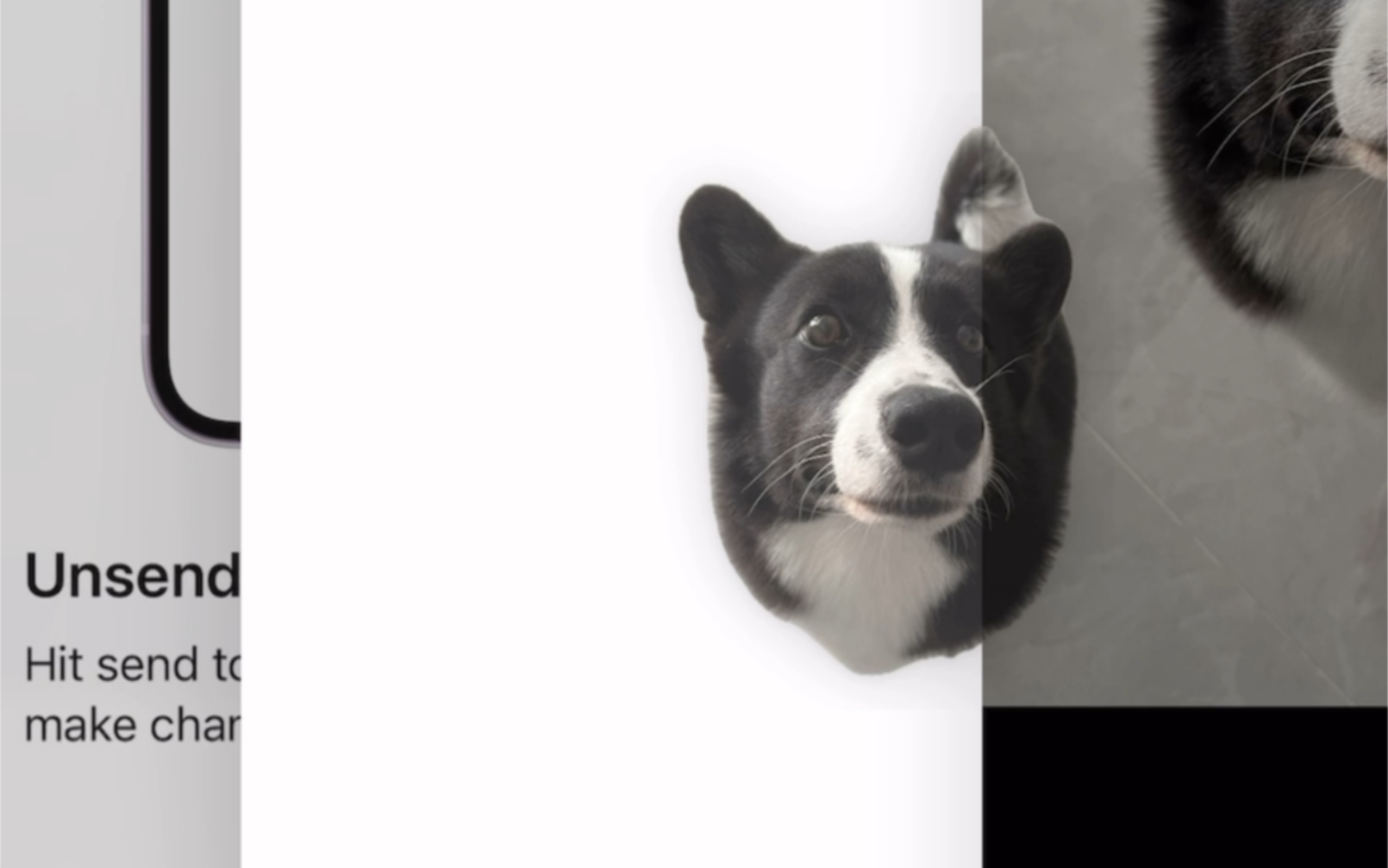 苹果手机用户都更新iOS 16了吗!新的一键抠图功能666啊