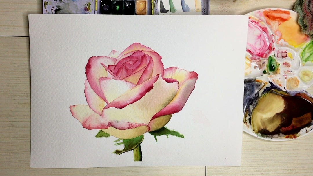 你画你也行的水彩画美丽花朵,绘画上色过程