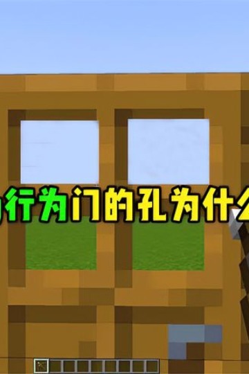 我的世界:盘点MC的bug有多奇葩?为什么门上的孔穿不过去?