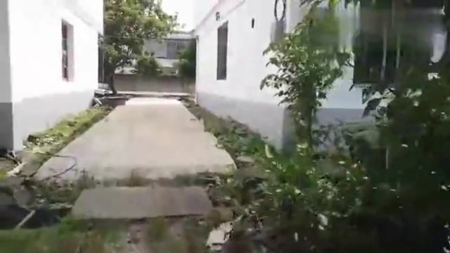 开22个轮子的拖车多少钱一个月?听听拖车师傅怎么说