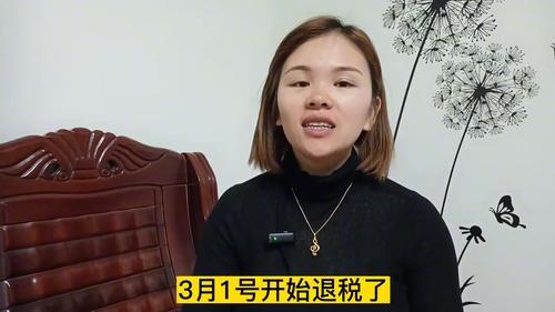 个人所得税3.1号开始退税,有人退10000左右,手把手教你操作方法