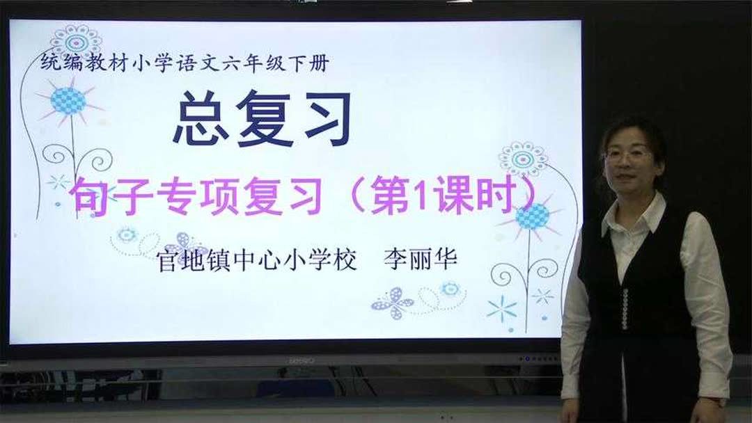 小学语文六年级《句子专项复习》