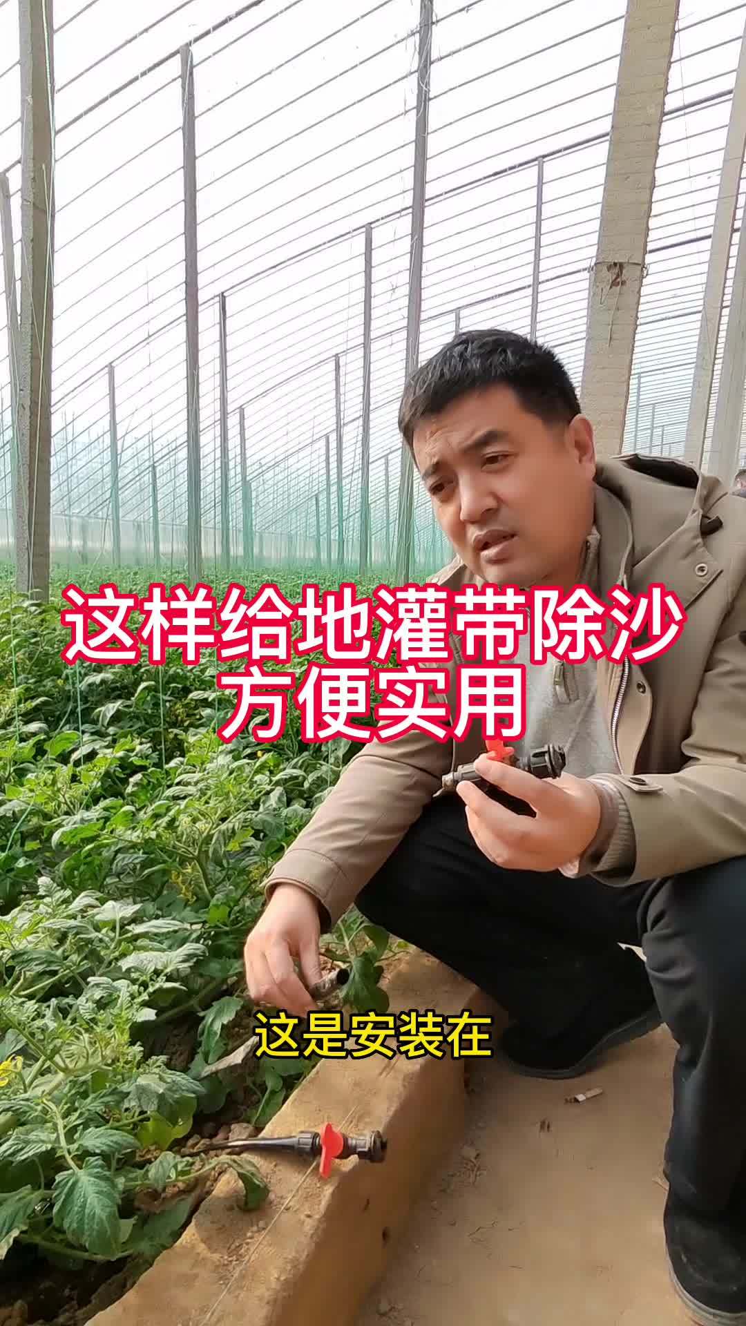 #三农 #助农 #分享农业知识帮农民增产增收