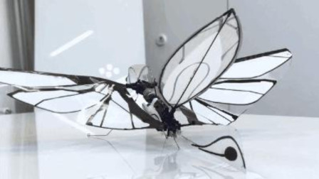 无人机已经“过时”了!试试这架扑翼机,模拟生物扇动翅膀...