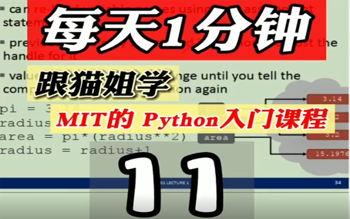 第11集|半径变了,圆的面积会变吗?#零基础学习python#麻省理工python...