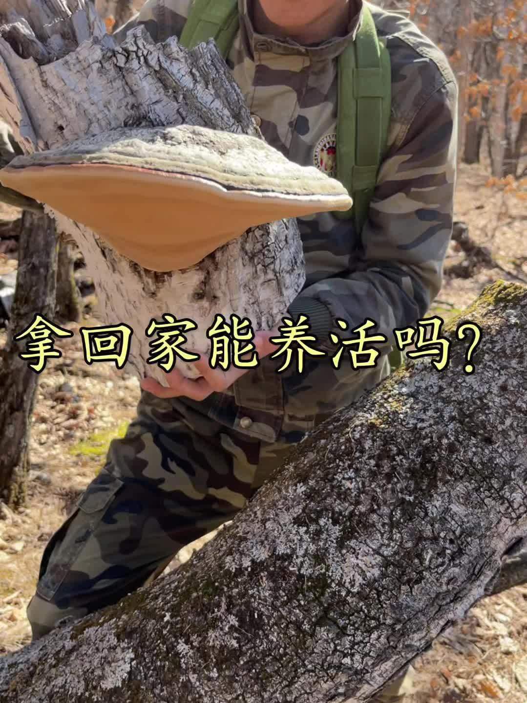 #家乡特产