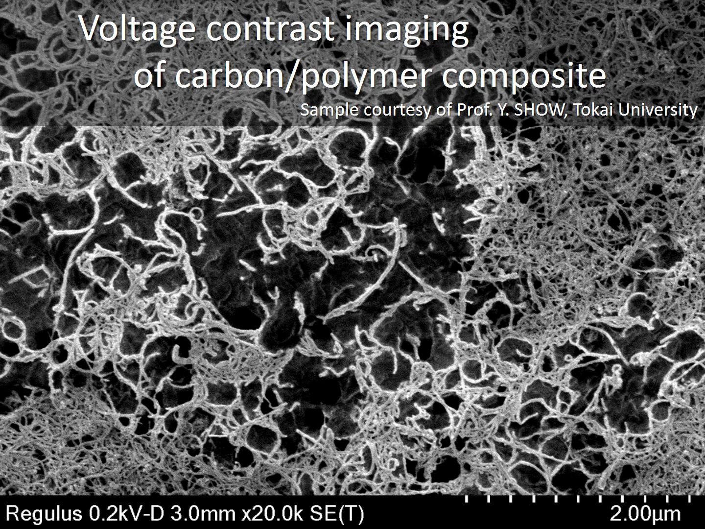 碳聚合物复合材料的电压对比成像