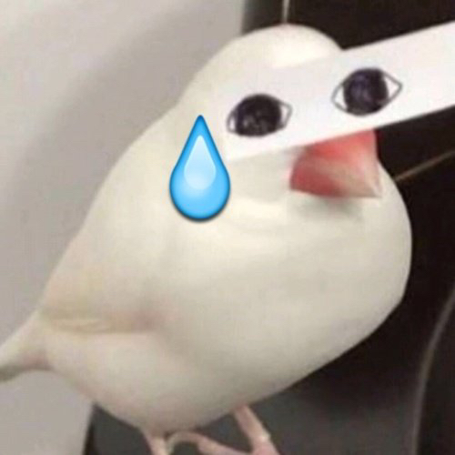鱼生半梦 