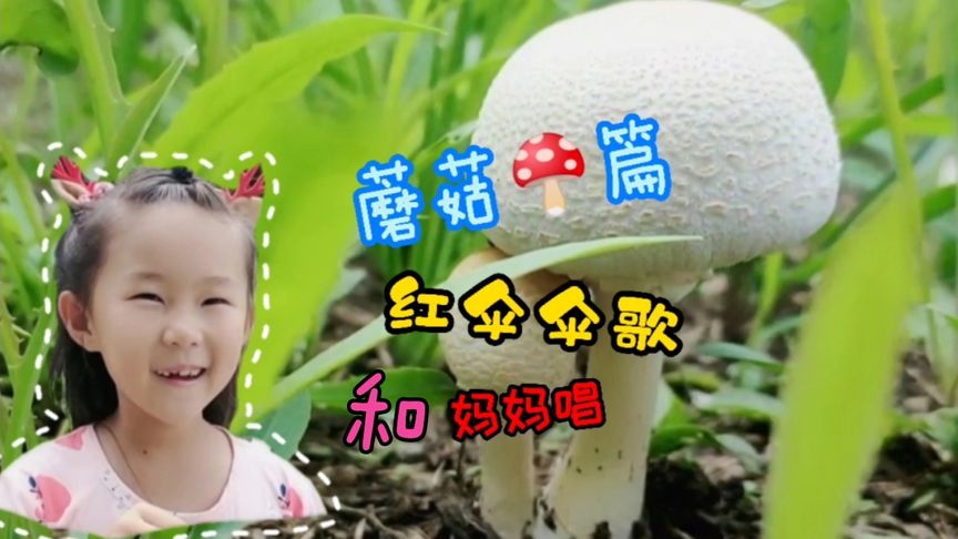 下雨后植物疯长,网络流行红伞伞歌,和妈妈唱,你觉的好听吗。