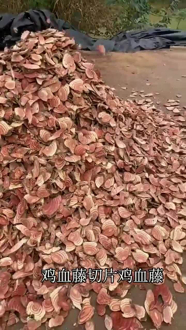 又开始切片鸡血藤,这样切片鸡血藤又快又方便