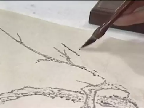 大熊猫怎么画大人水墨画怎么画水墨画蝴蝶