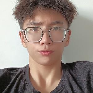 非常正经的康仔 