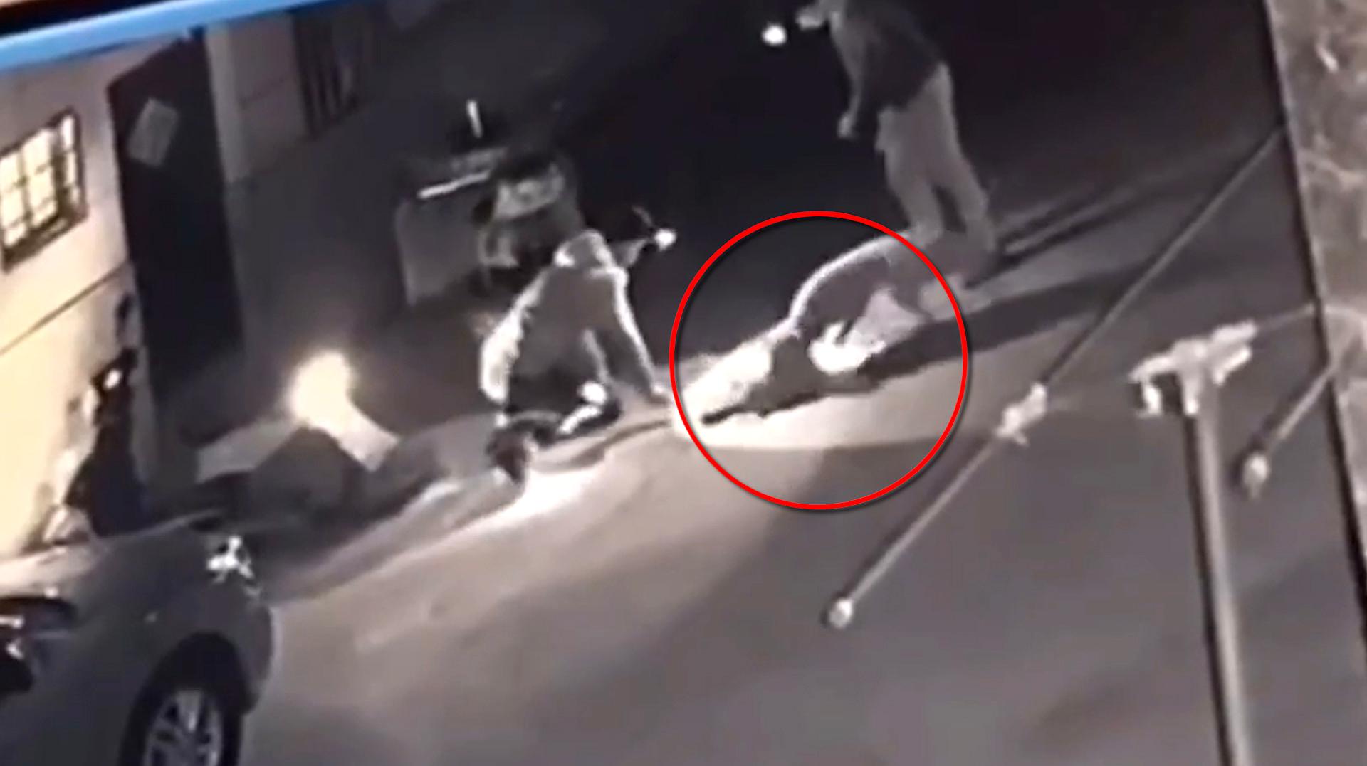 气愤!两男子按住猫头让狗撕咬致死 过程持续一分钟 现场视频曝光