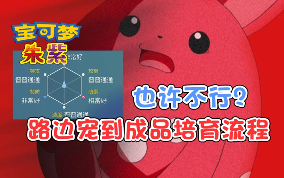 路边宠到成品宝可梦的培育流程【宝可梦朱紫】