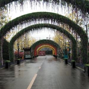 城市打拼的小哥 