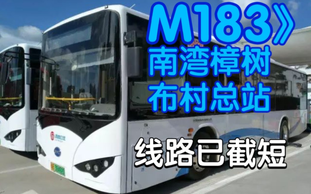 【深圳公交POV45/梦幻联动】【不复存在的风景线】M183》南湾樟树...