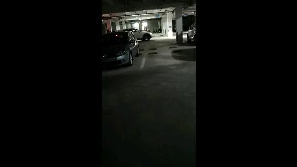 看看女司机是怎么把车放入车位的。