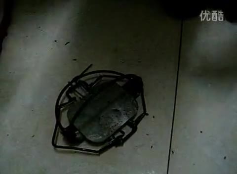 野鸡夹野兔夹钢丝夹的安装和连接方法